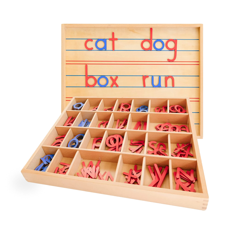 Movable Alphabet Montessori Wooden Letters – Montessori & Me