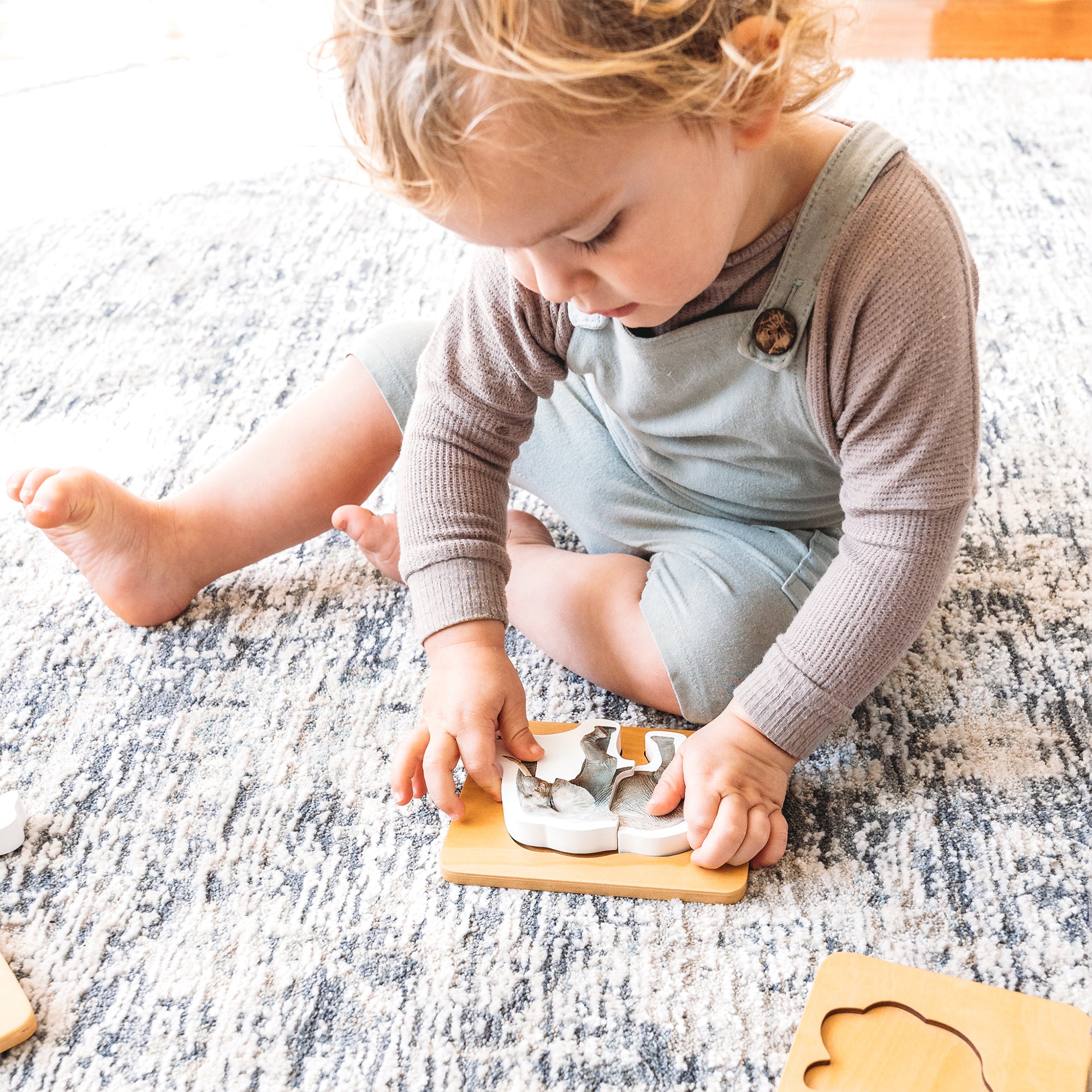 Montessori Safari Animal Puzzles – Montessori & Me